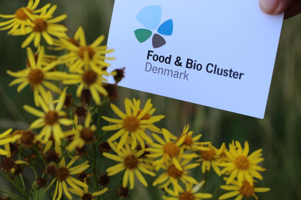Food & Bio Cluster Denmark styrker sin landsdækkende tilstedeværelse