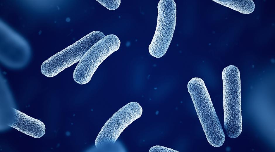 Biosolutions for en grønnere fremtid