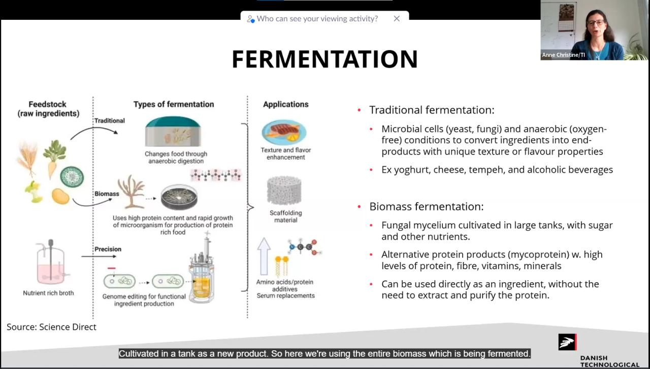 Dairy proteins from precision fermentation: not milk, not sustainable yet