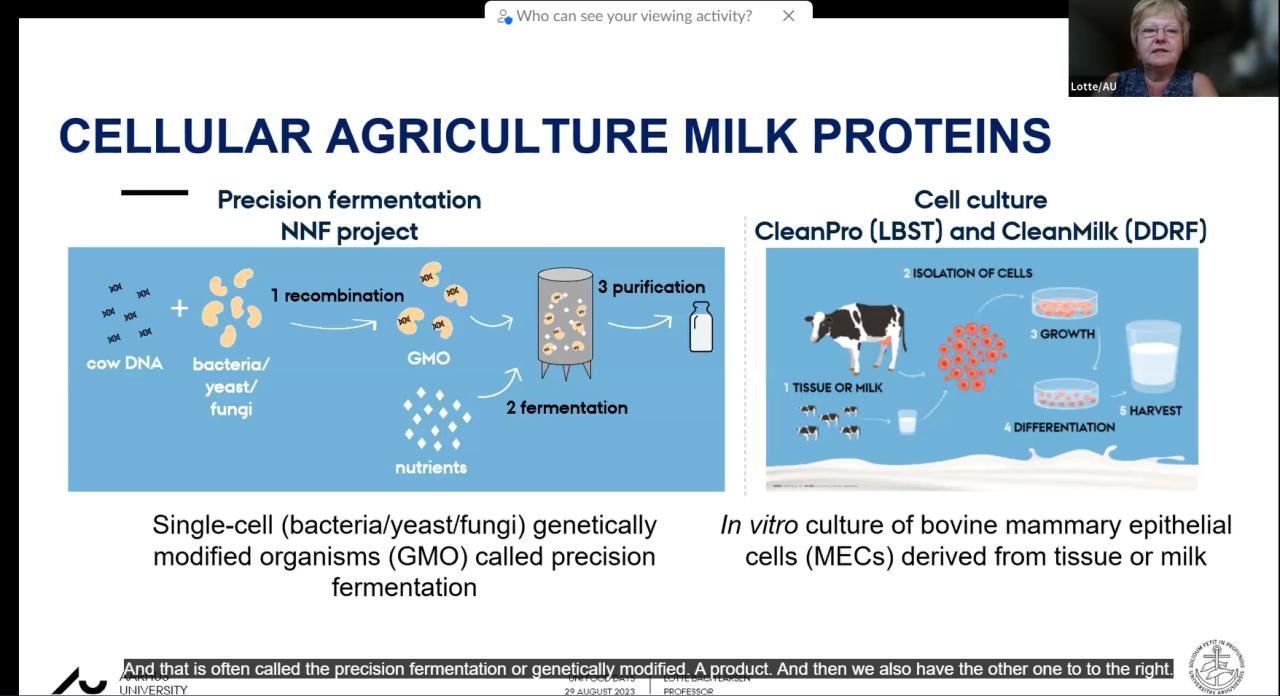 Dairy proteins from precision fermentation: not milk, not sustainable yet