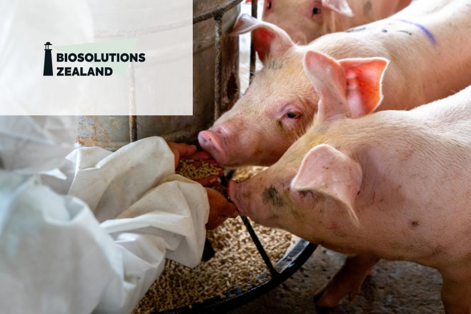 Food & Bio Cluster Denmark