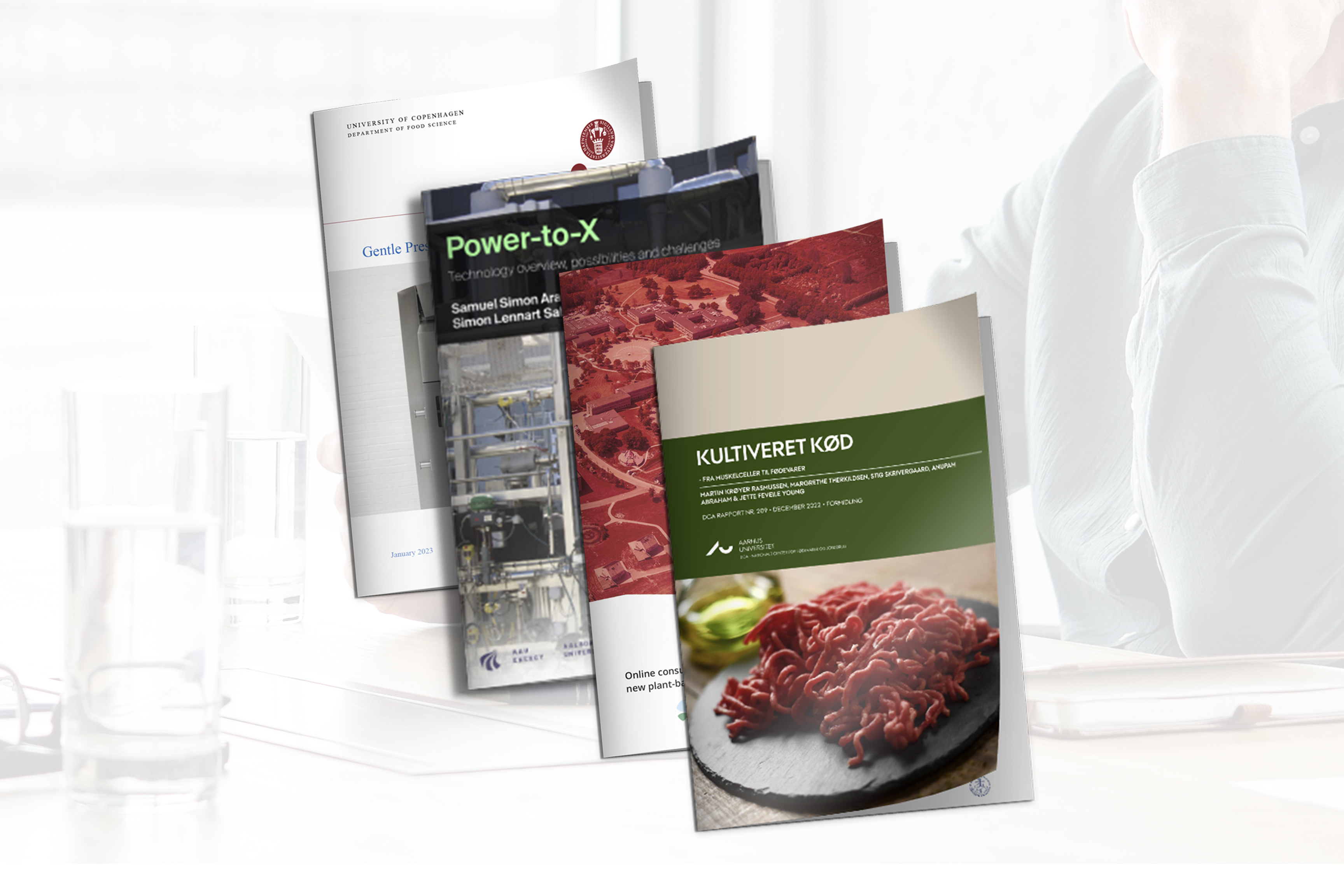 Rapporter og analyser